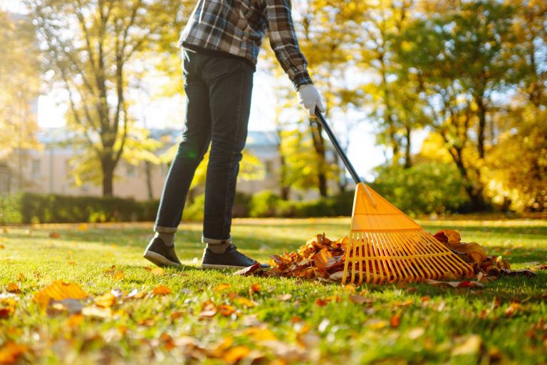 Fall Yard Work and Back Pain: Tips for Protecting Your Spine